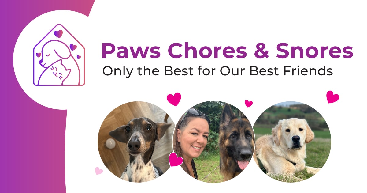 Dog Sitting Halstead | Local Dog Sitters | 07961 051 751